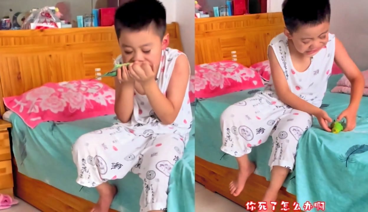 【娱乐么么茶】萌娃把鹦鹉坐死了!哭着给鹦鹉做人工呼吸:你死了我该怎么活 粉丝数36008 作品数34191 资讯视频 免费在线观看 爱奇艺
