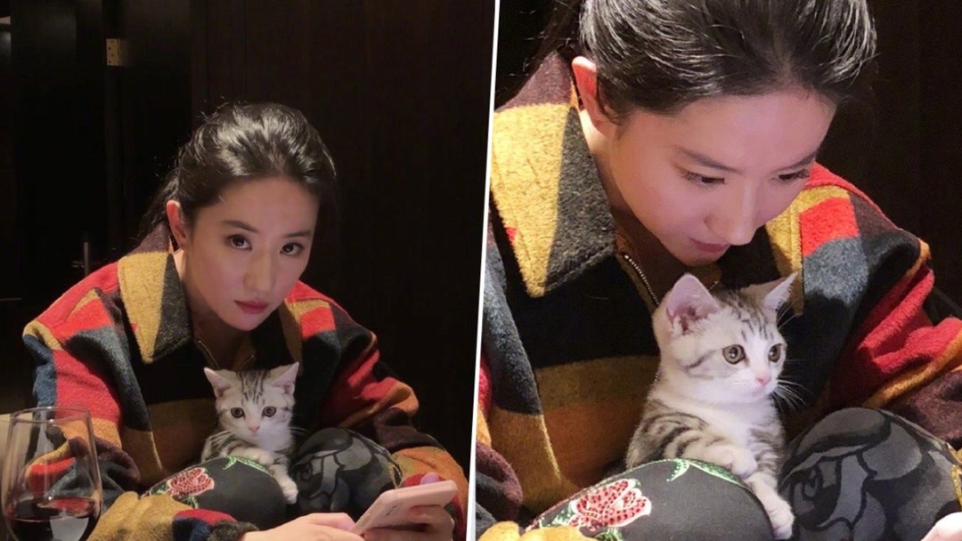 刘亦菲晒与小猫合影 美女配萌宠画面温馨可爱 2021 Full Online With English Subtitle For Free